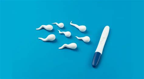 Understanding Low Sperm Count Causes Effects And Solutions