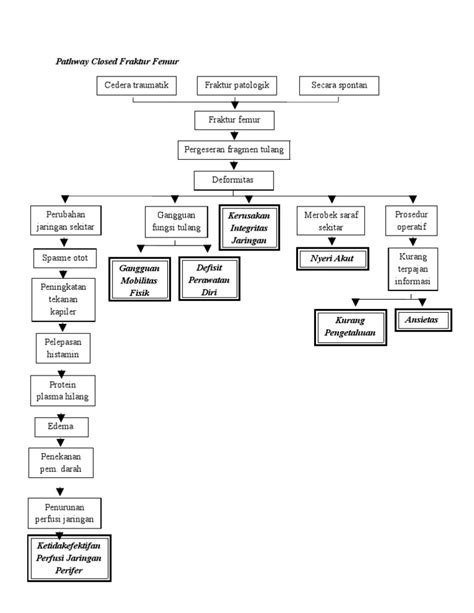 Pathway Cf Femur Pdf