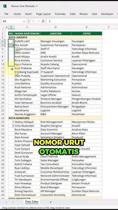 Nomor Urut Otomatis Di Excel‼️belajarexcel Exceltips Excelhacks