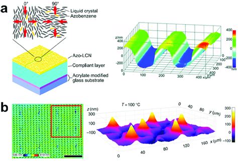 A 3d Visualization Of Domain Configurations And Topography In