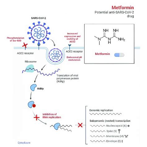 Effects Against Sars Cov 2 Download Scientific Diagram