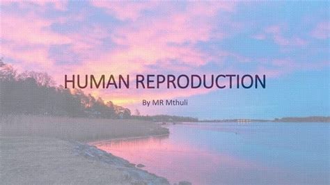 Human Reproductionpptx