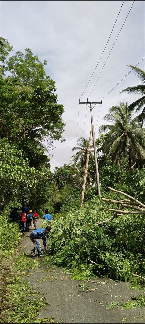 Pekerjaan Emergency Jaringan Jtm Akibat Pohon Tumbang Desa Yatwav Rico Robert Rangotwat