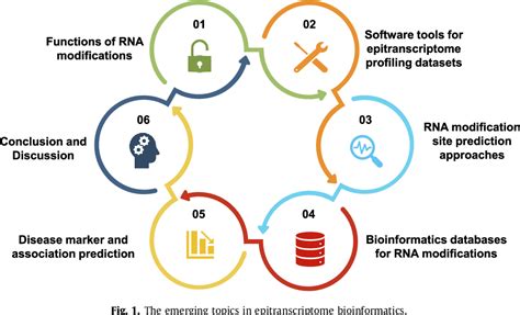 Figure 1 From Bioinformatics Approaches For Deciphering The Epitranscriptome Recent Progress
