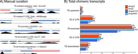 General Results From Chimera Mode 1 A Five Examples Of Chimeric Download Scientific Diagram