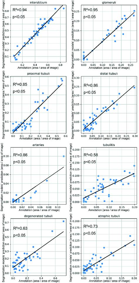 Correlation Of Areas Between Annotations And Segmentation Model