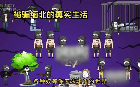 我被骗入缅北三年，真实经历过生死逃亡，侥幸回国被判刑。我亲身经历过缅北十大酷刑 键盘学长呀 键盘学长呀 哔哩哔哩视频