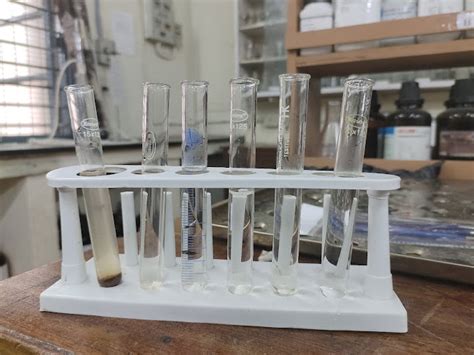 Serial Dilution Isolation Of Trichoderma Spp From Soil