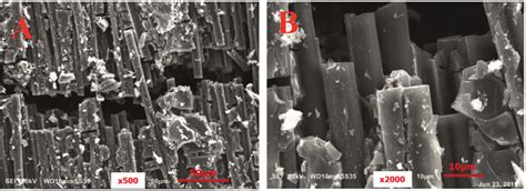 Microstructure And Fibre Pull Out In The Flexural Stress Tested Ud Download Scientific Diagram