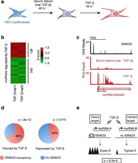 Long Noncoding Rnas Expressed In Human Hepatic Stellate Cells Form Networks With Extracellular