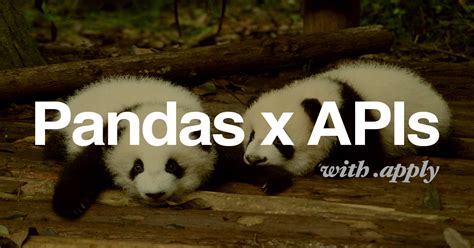Api Calls Within A Pandas Dataframe Api Using Pandas Apply Coding For