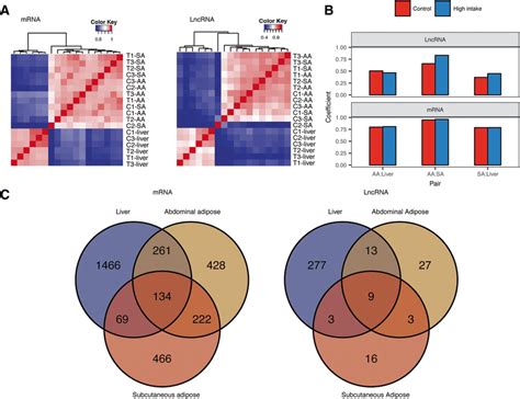 Transcriptomic Changes For Each Tissue And Each Group A Pearsons Download Scientific Diagram