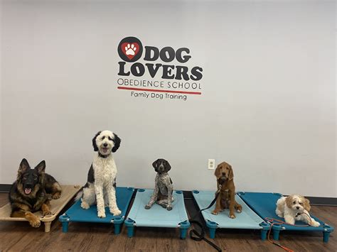 Private Dog Obedience Training — Dog Lovers Obedience School