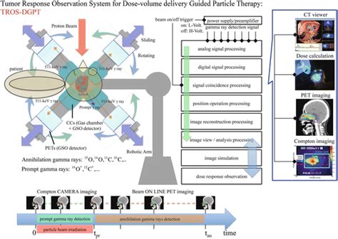 Visualization Of Dose Distributions For Proton Radiology Key
