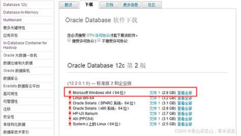 oracle 12c安装教程 oracle12c下载 csdn博客