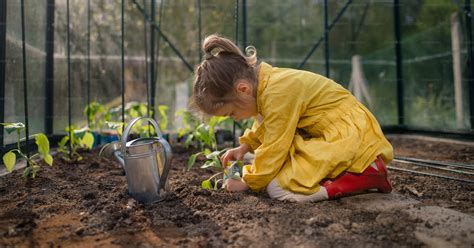 생태 온실에 유기농 고추 식물을 심는 어린 소녀는 원예와 지속 가능한 생활 방식을 배웁니다 사진 Unsplash의 바깥 이미지