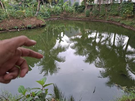 A Small Pond For Flood Mitigation Stock Image Image Of Flood Water 326932805