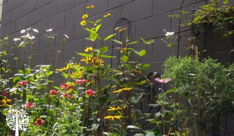 Tips For Creating A Small Space Garden Gcm