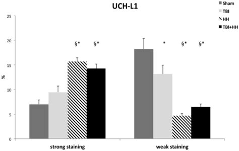 Ratio Of Strong Positive Pixels Strong Staining On Total Pixels And