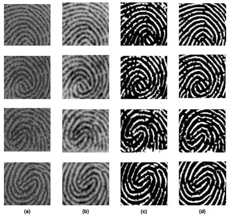fingerprint image enhancement using multiple filters [peerj]
