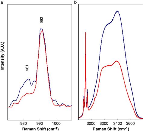 Two Raman Spectra Of Methane Ethane Hydrate 1024 M 278 K Spectrum
