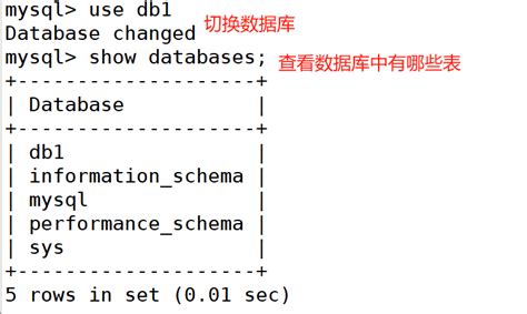 Mysql 数据库操作 Csdn博客