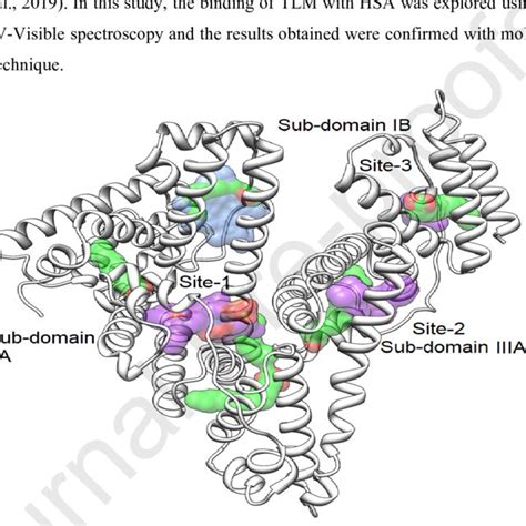 3 D Structure Of Hsa Protein Showing The Three Major Binding Sites