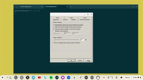 how to run windows programs or exe files using wine on chromebook