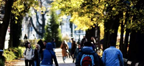 Young Researchers And Walkability Pedestrian Space