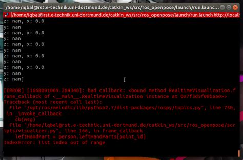 Hand Skeleton Error Issue Ravijo Ros Openpose GitHub