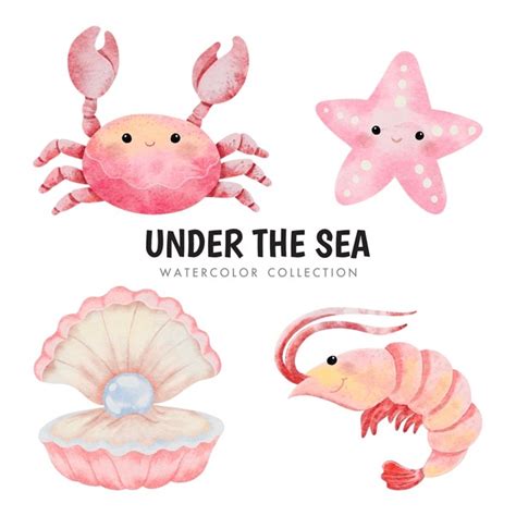 Tortugas Dibujos Imagenes De Dibujos Infantiles Mar Animado Porn Sex