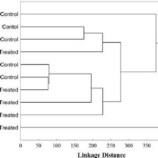 Horizontal Dendrogram Based On The Average Linkage For The Diff Erent Download Scientific