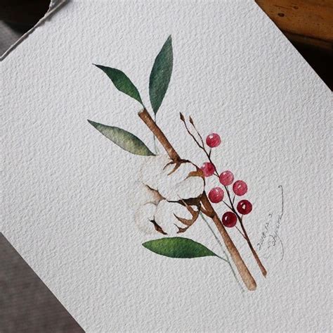 목화 어디까지 그려봤니 포근포근 목화 그리기 그린 꽃 꽃그림 수채화 삽화