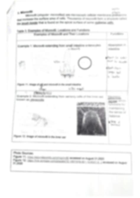 SOLUTION Cell Structure Modification Studypool