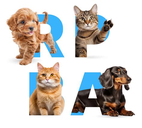 Partnership Application For Rpba Responsible Pet Breeders