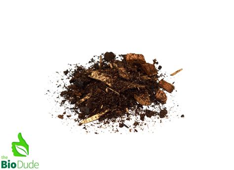 The Biodude Terra Isopoda Bioactive Isopod Substrate 6qt Cornels World