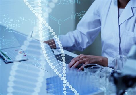 Cd Biosynsis