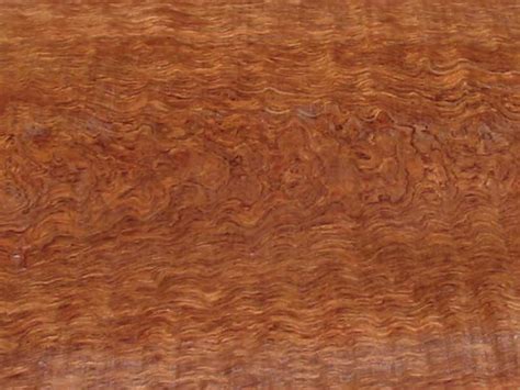 Bubinga