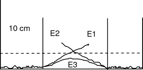 8 Ins Bridging With Forward Backward Prediction And Smoothing