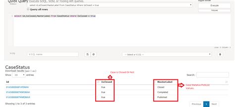 salesforce code crack check case status picklist values marked as