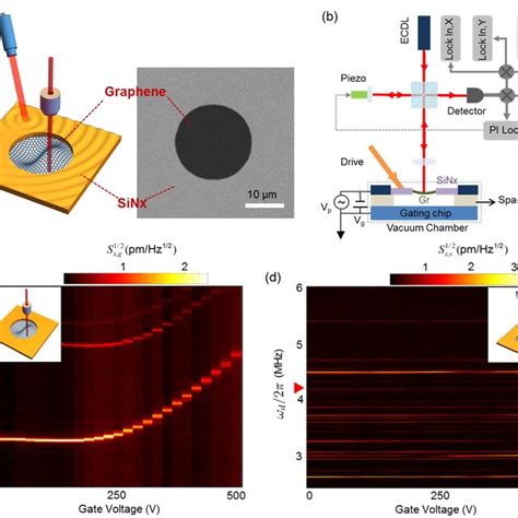 Figure S3 Graphene Spatial Modes Simulated Spatial Mode Profiles Of Download Scientific