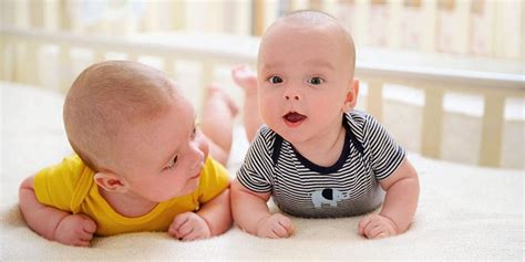 What Are The Different Types Of Twins AlphaBiolabs UK