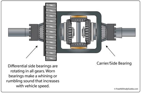 Differential Side Bearings