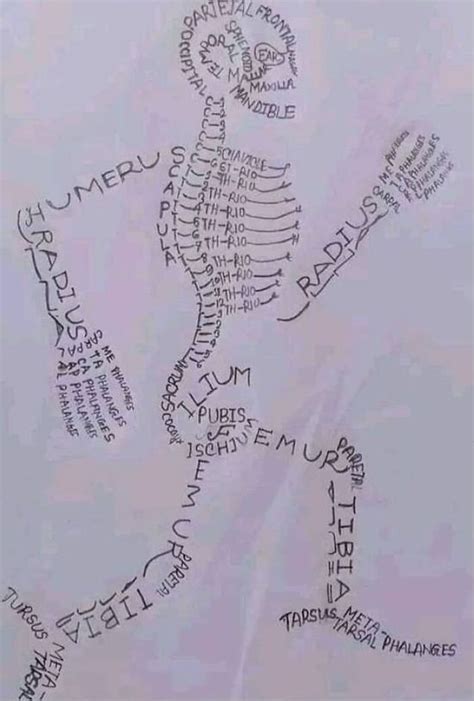 Tech Comics The Software Project Page 2 Datamation Programmer Humor Technology Humor