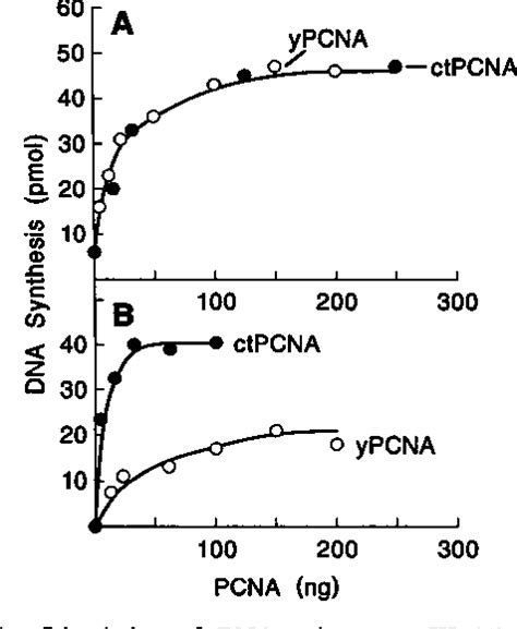 Figure 1 From The Yeast Analog Of Mammalian Cyclin Proliferating Cell Nuclear Antigen