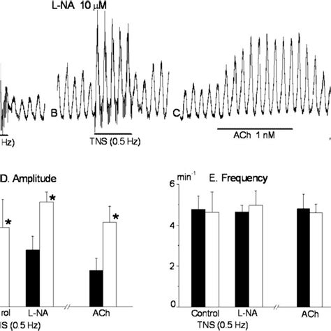Cholinergic Modulation Of Slow Waves Recorded From Smooth Muscle Cells Download Scientific