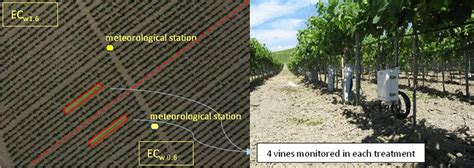 The Experimental Plot And Its Two Sections Where The Salinity Download Scientific Diagram