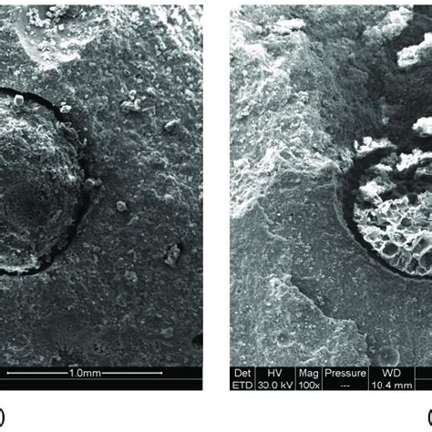 State Of Microcapsules In Cement Matrix A Complete Microcapsule B Download Scientific