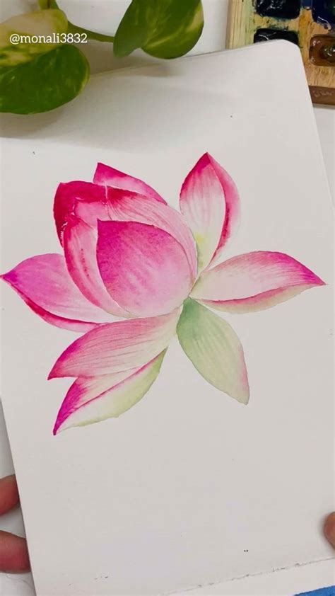 How To Paint A Detailed Lotus In Watercolours Watercolor Lotus