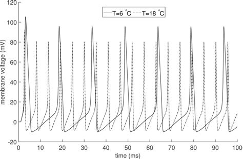The Time Course Of Membrane Potential At Environmental Temperatures
